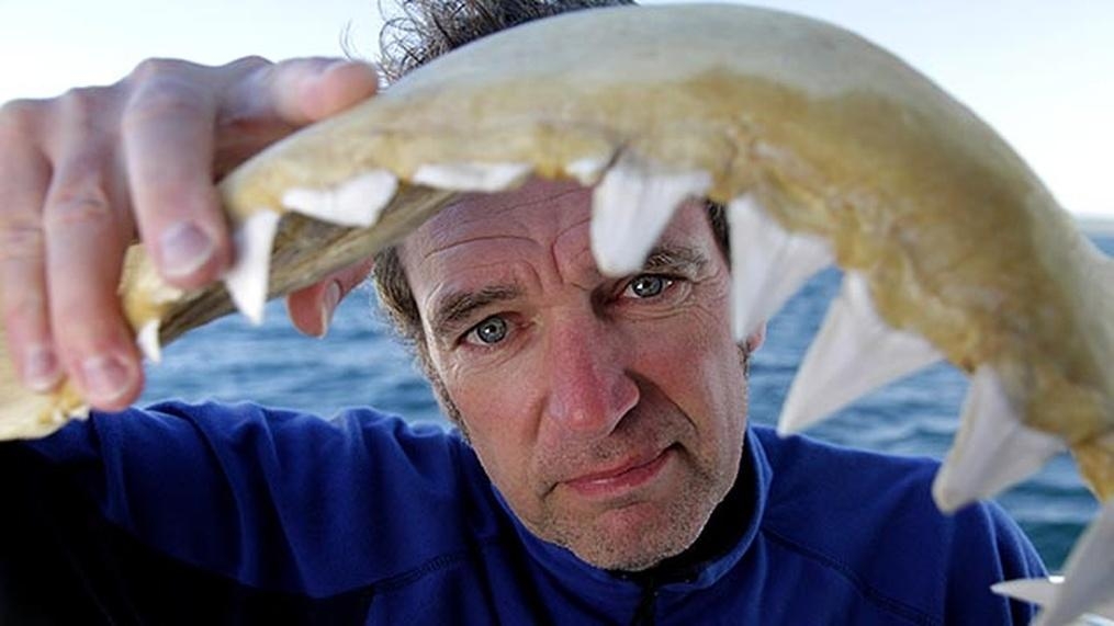 Operation Maneater | Great White Shark | WTTW