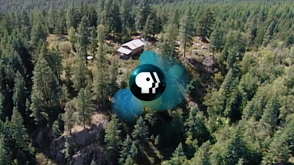 Ruby Ridge: American Experience | | WTTW