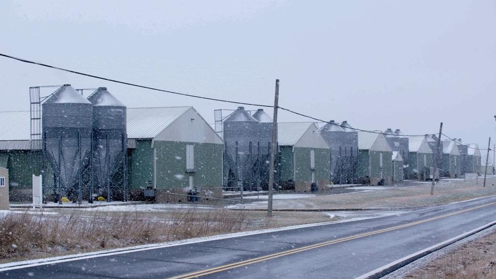 Frontline | Trafficked In America | WTTW