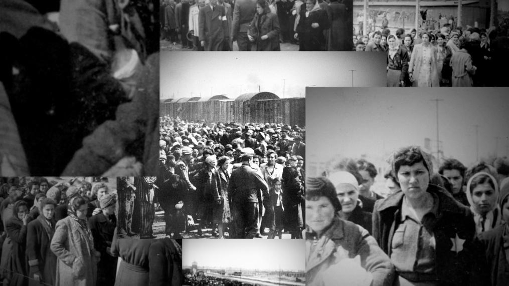 Stories of Survival | Final Transports: The Holocaust Stories of Magda ...