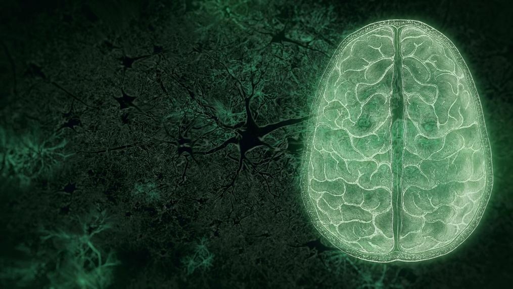 NOVA | Your Brain: Who's In Control? | WTTW