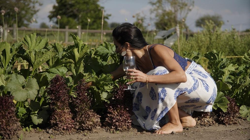 Wine First | Wine Valleys and Highlands, Chile | WTTW