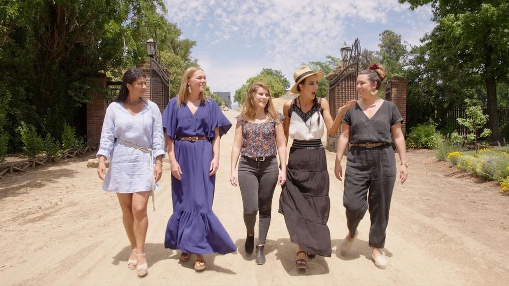 Wine First | Three Climatic Zones, Chile | WTTW