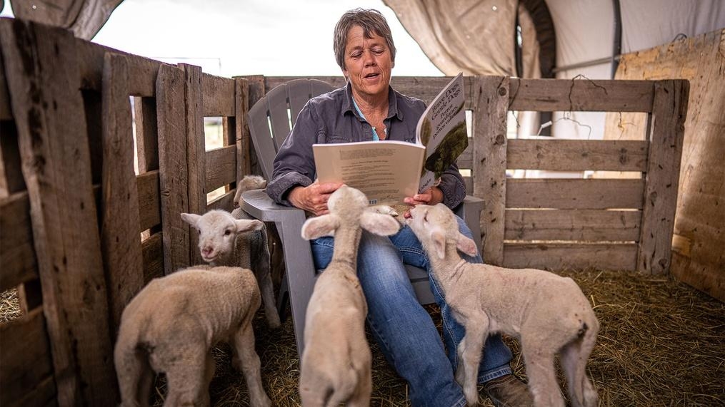 Human Footprint | Top Predator | WTTW