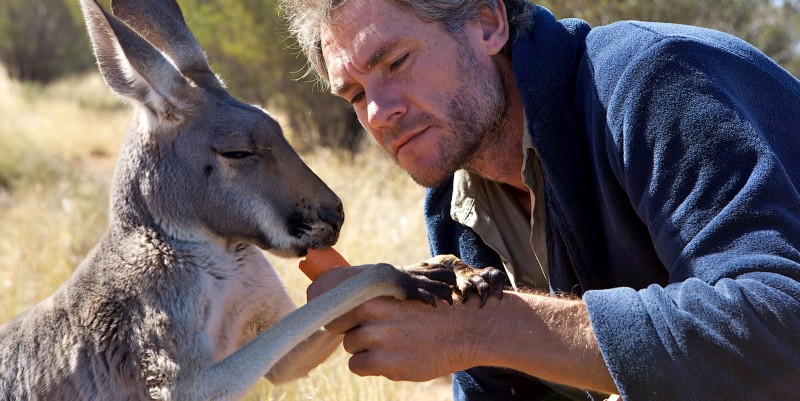 Kangaroo Dundee Wttw