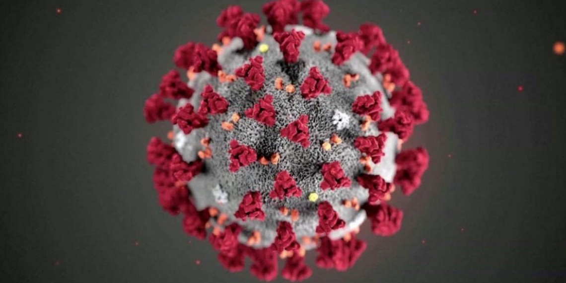 Confronting Coronavirus: A PBS Newshour Special | | WTTW