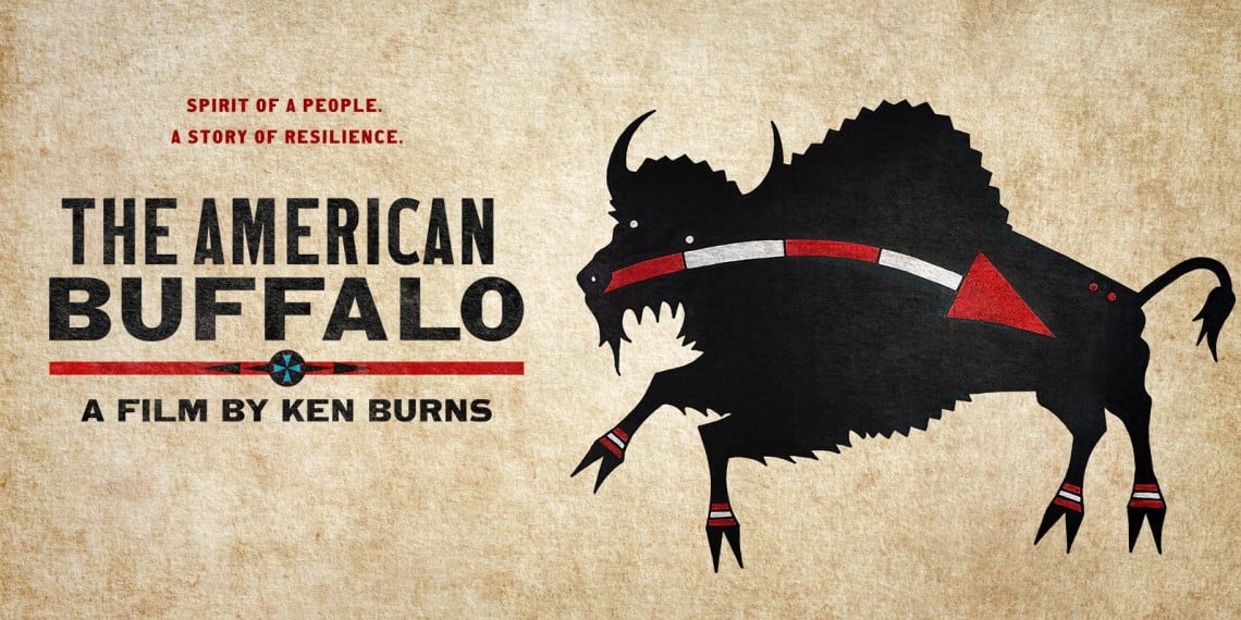 The American Buffalo | WTTW