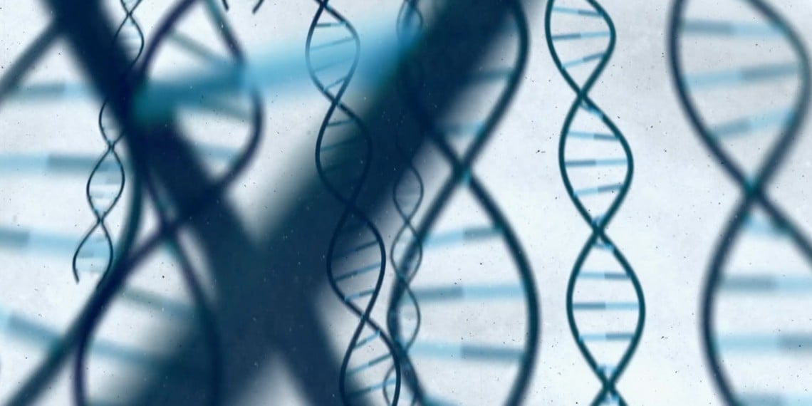 NOVA | Hunt for the Oldest DNA | WTTW